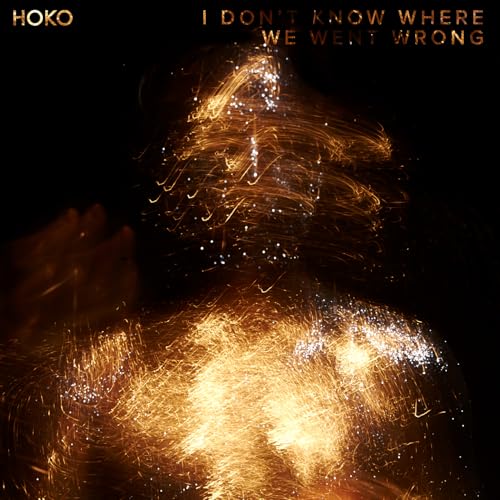 I Dont Know Where We Went Wrong de HOKO en Amazon Music Unlimited