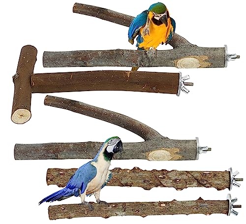 Top 10 Best Wood For Parrot Perches : Reviews & Buying Guide - Katynel