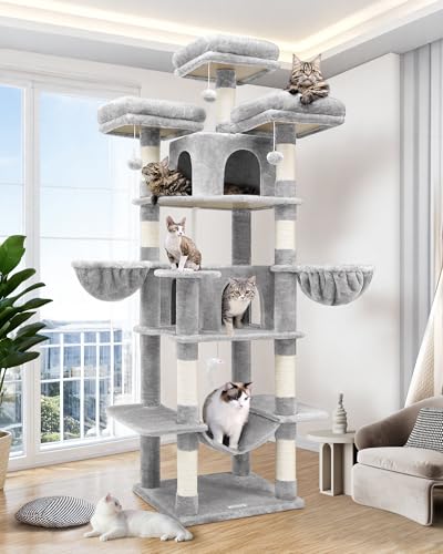 Chewy Cat Trees – The 15 best products compared - Wild Explained