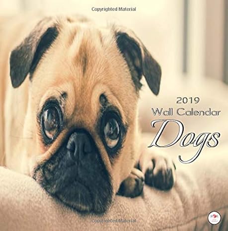 2019 Wall Calendar Dogs: 2019 Dog Calendar Mini 8.5 x 8.5 12 Month ...