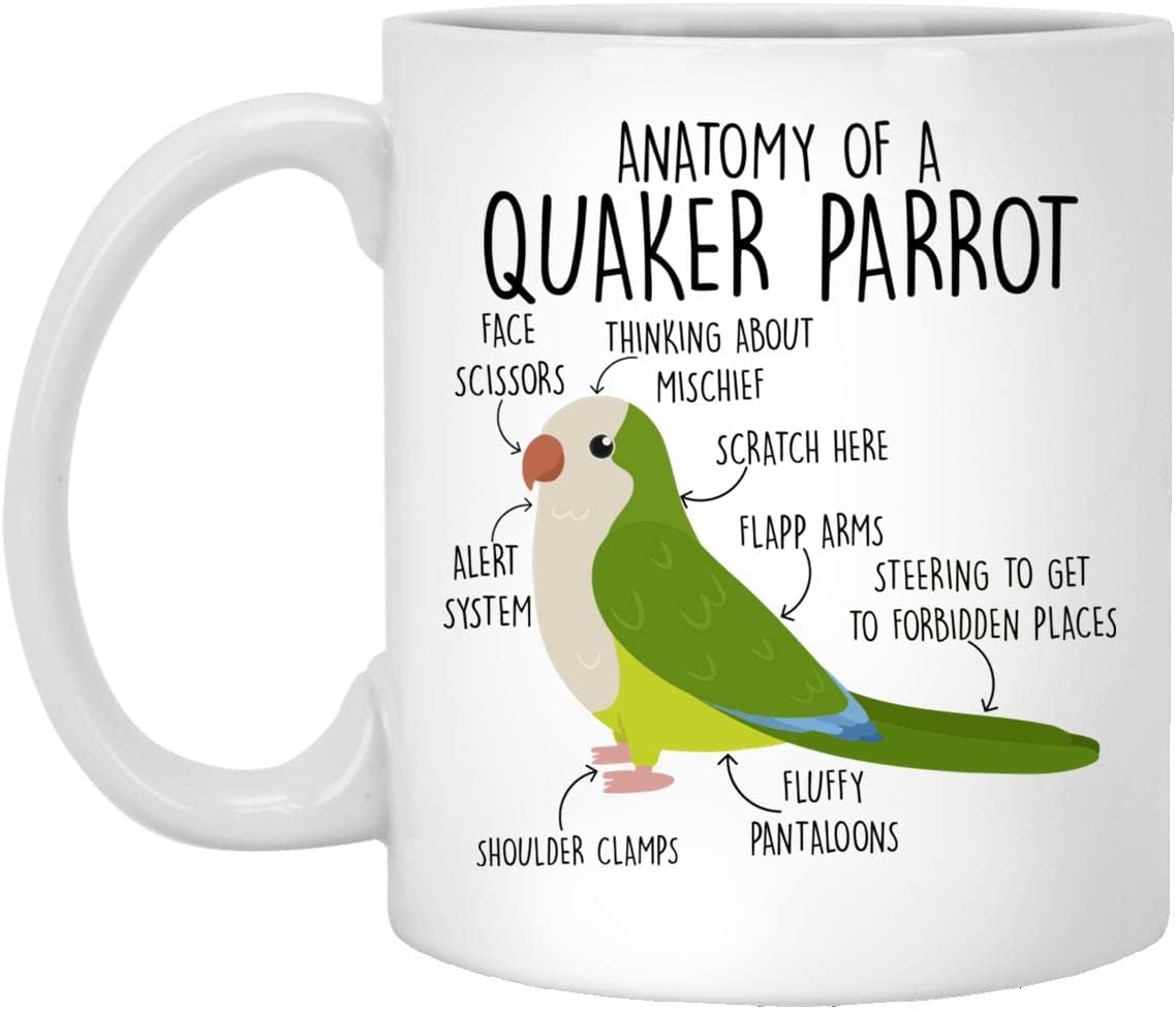 Amazon.com: Green Quaker Coffee Mug, Cute Bird Gift, Pet Lover, Funny ...