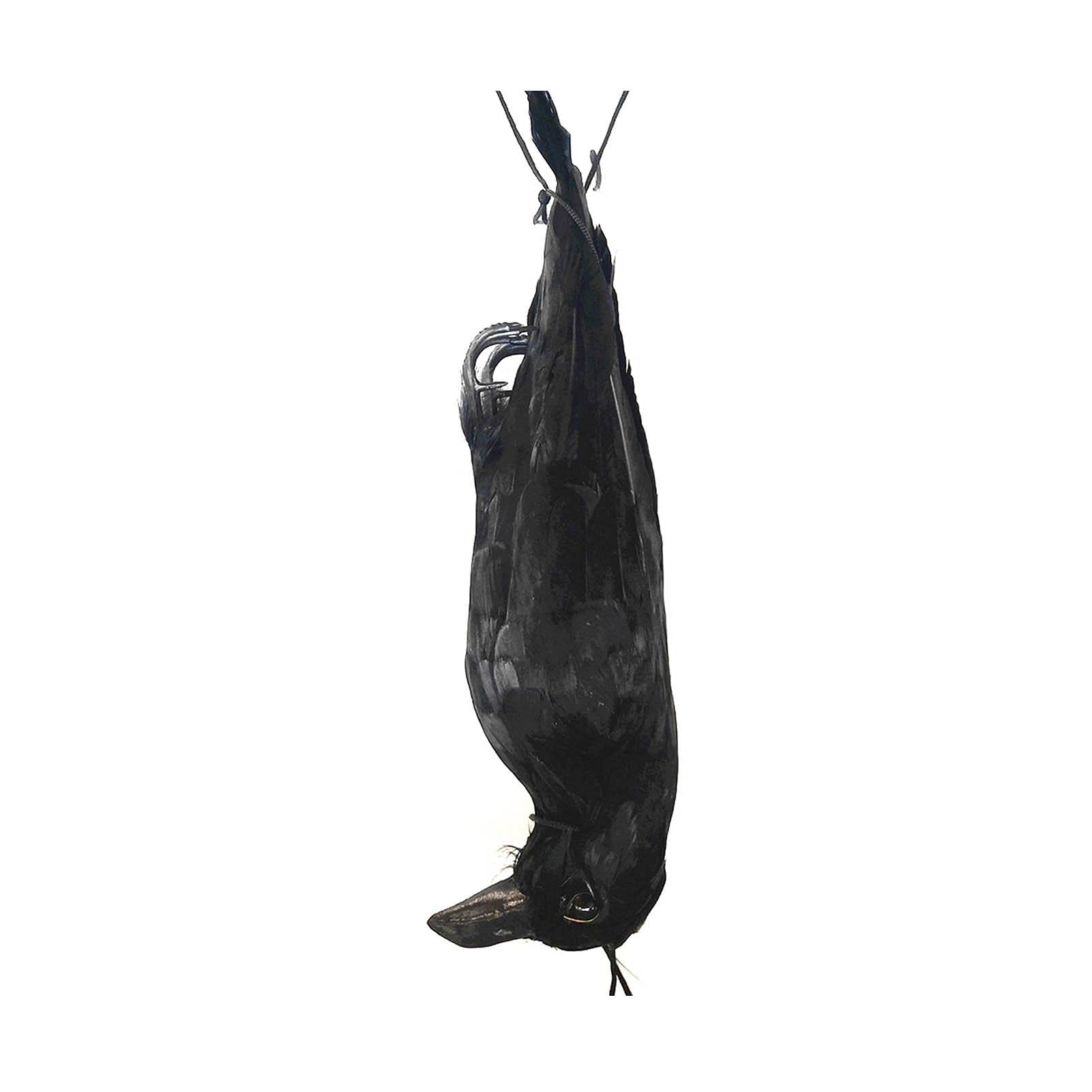 monshop Hanging Dead Crow Bird Scarer, 17 IN Simulation Crow, Realistic ...