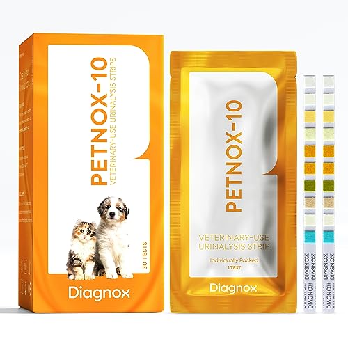 Cat Dangle Test – The 15 best products compared - Wild Explained