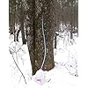Amazon.com: Maple Syrup Sap Drop Line Tapping Kit (10 Pack) - 5/16 ...