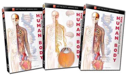 Amazon.com: The Human Body [DVD] : Just the Facts, Cerebellum ...