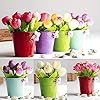 Dproptel 2-in-1 Portable Flower Pots + Sand bucket, Iron Hanging Flower ...
