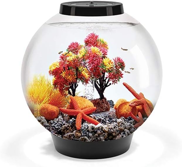 Amazon.com : Aquarium Fish Tank Individuality Creative Round Fish Tank ...