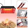 Amazon.com: Heat Lamp for Chickens Chicks, Chicken Coop Heater with ...