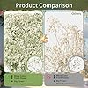Amazon.com: 200 pcs Mini Dried Pressed Baby’s Breath Flowers Bulk ...