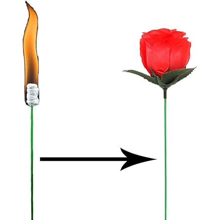 Amazon.com: Spring Flowers Magic Trick - Medium : Toys & Games