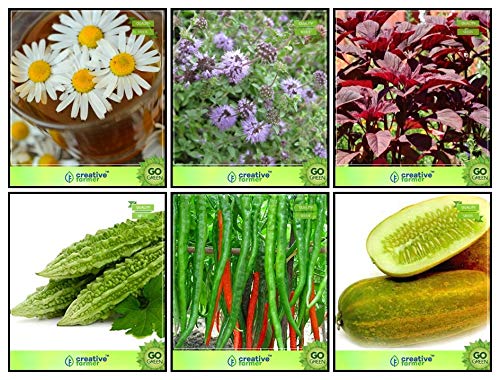 Creative Farmer Best Combo Combo Herb Seeds & Vegetable Seeds ...