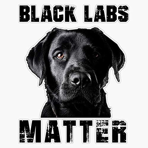 Amazon.com - Happy Black Lab Vinyl Waterproof Sticker Decal Car Laptop ...