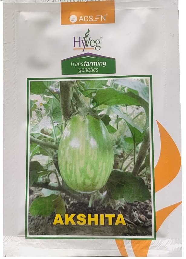 Brinjal Hyveg Akshita -10 gm : Amazon.in: Garden & Outdoors