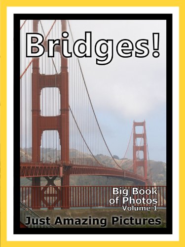 Just Bridge Photos! Big Book of Photographs & Pictures of Bridges, Vol ...