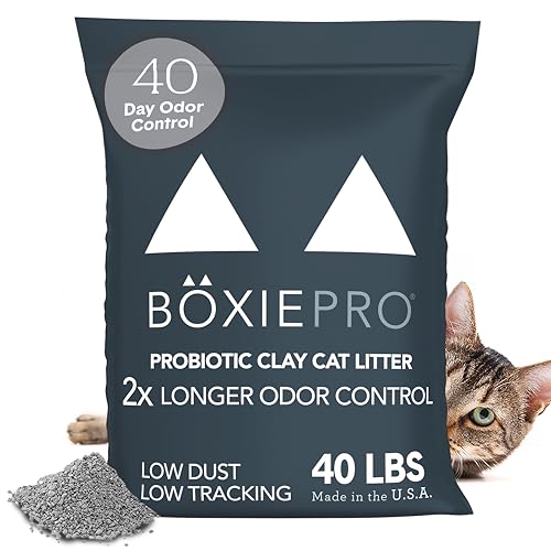 Boxie Cat Litter – The 15 best products compared - Wild Explained