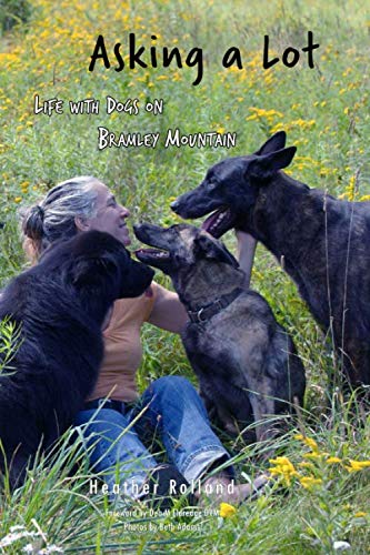 Asking A Lot: Life with Dogs on Bramley Mountain: Rolland, Heather Jean ...