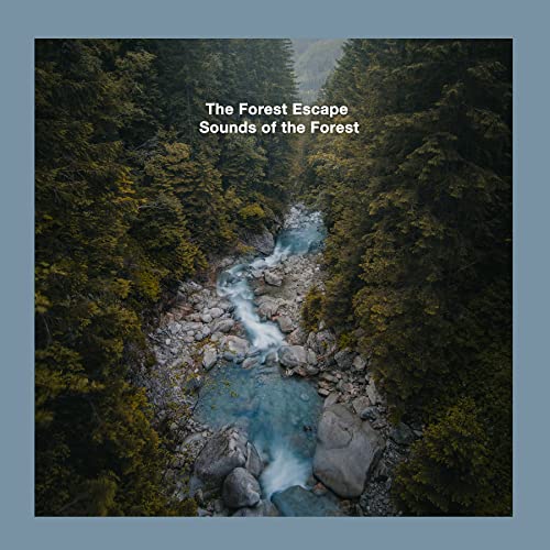 Sounds of the Forest by The Forest Escape on Amazon Music - Amazon.com