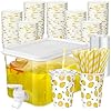 Amazon.com | 151 Pcs Lemonade Stand Supplies Lemonade Stand Kit Plastic ...