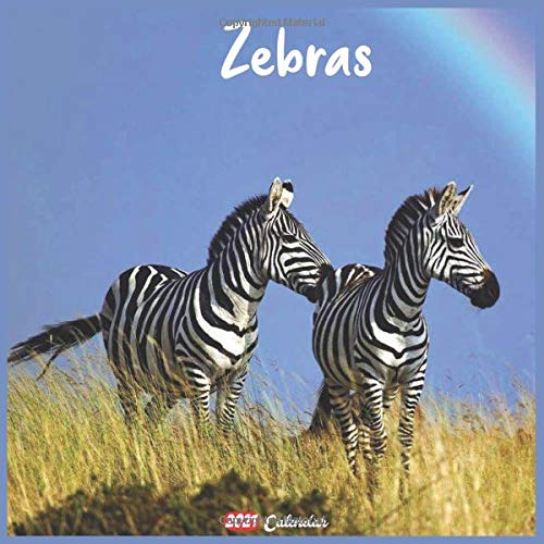 Zebras 2021 Calendar: Official Zebras Wall Calendar 2021, 18 Months ...
