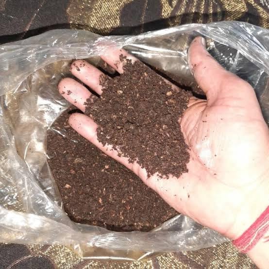 Organic Gardening Soil, Large 1 Gallon Bag : Amazon.in: Garden & Outdoors