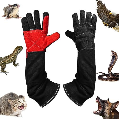 Best Animal Handling Gloves: Protect Your Hands While Handling Animals
