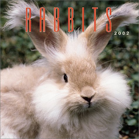 Rabbits 2002 Calendar: Unknown Author: 9780763137410: Amazon.com: Books