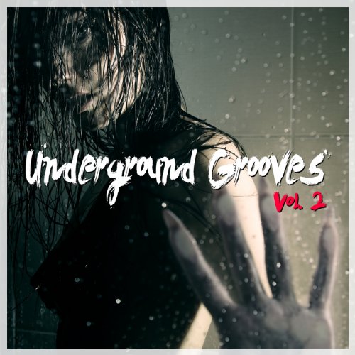 Amazon MusicでVARIOUS ARTISTSのUnderground Grooves, Vol. 2を再生する