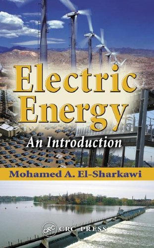 Electric Energy: An Introduction (Power Electronics and Applications ...