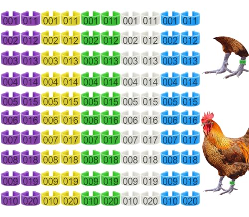 Best Marking Chickens for Identification: Top Poultry Leg Bands and ...
