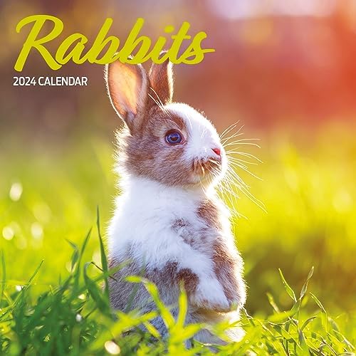 Rabbit Traditional 2024 Calendar : Amazon.co.uk: Stationery & Office ...