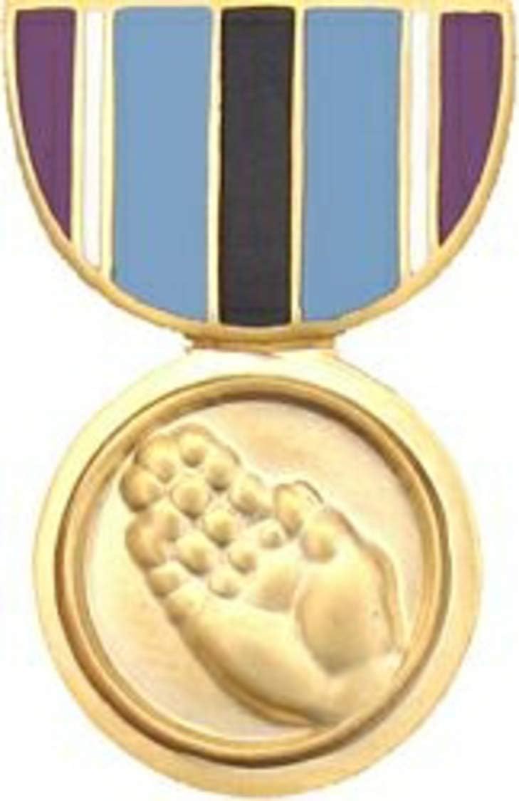 Amazon.com: Humanitarian Service Medal Lapel Pin or Hat Pin (metal, 1 1 ...