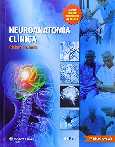 Neuroanatomía clínica: Edición revisada (Spanish Edition) Spanish ...
