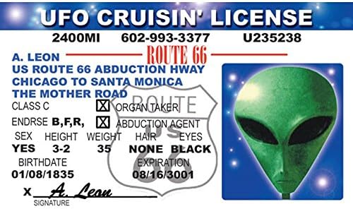 Amazon.com: Signs 4 Fun Parody Driver’s License | Marge ID | Fake ID ...