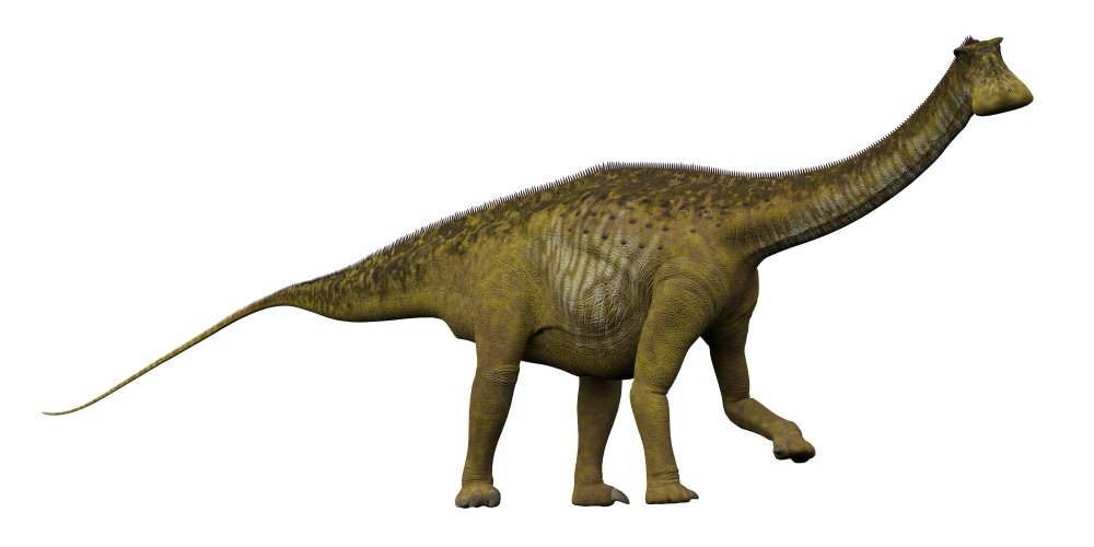 Nigersaurus