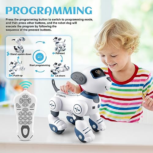 Snapklik.com : Remote Control Robot Dog Toys, Programmable Robotic ...