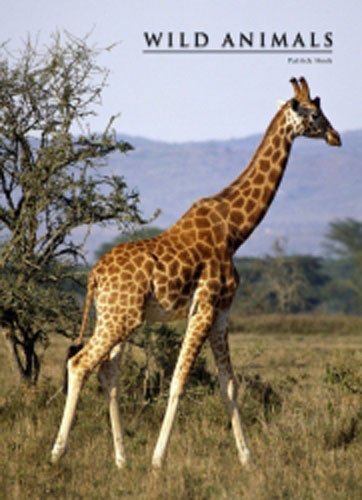 WILD ANIMALS by Patrick Hook (2007-08-24): Patrick Hook: Amazon.com: Books