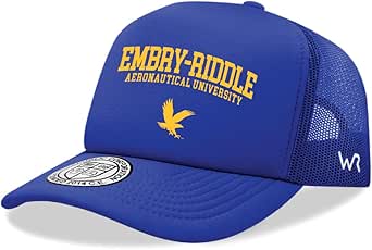 Amazon.com: ERAU Embry–Riddle Aeronautical University Eagles Seal Hat ...