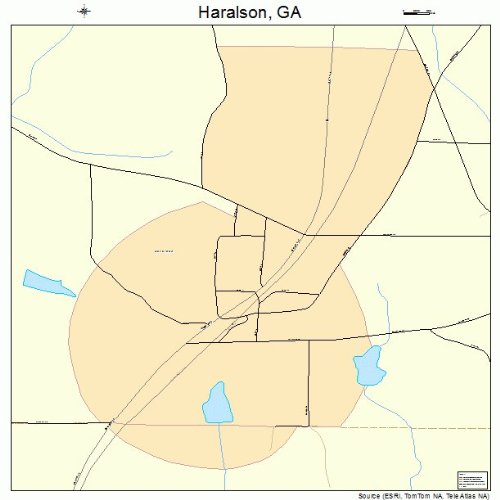 Amazon.com: Large Street & Road Map of Haralson, Georgia GA - Printed ...