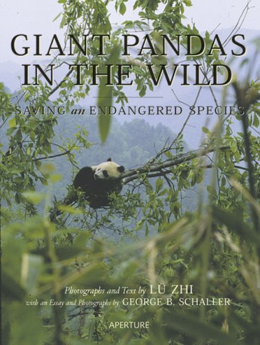 Pandas in the Wild: SAving an Endangered Species | Amazon.com.br