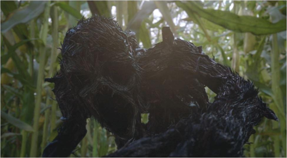 Amazon.com: Scarecrow [DVD] : Movies & TV