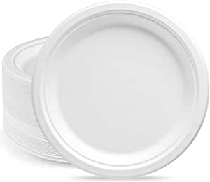 HAKACC 100 Paper Plates 23cm, 9inch Paper Plates, Disposable Plates ...