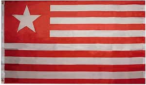 Amazon.com : James Long 2nd Texas 1821 Expedition Historical Flag 3' x ...