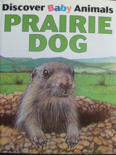 Prairie dog (Discover baby animals): Amazon.co.uk: Toast, Sarah ...