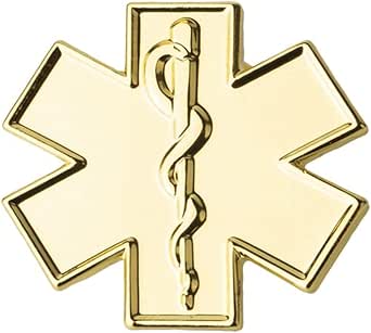 Gold Paramedic Medical Ambulance NHS Caduceus Snake Pin Badge Student ...