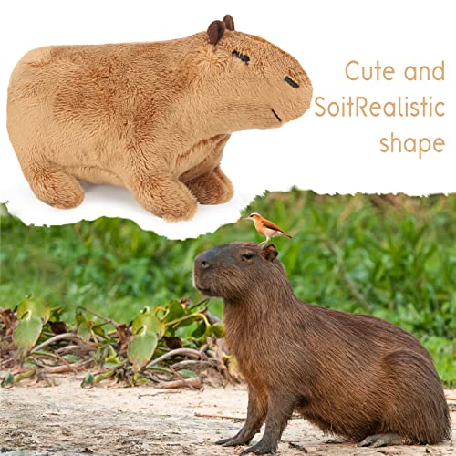 Cutogain 30cm Simulation Capybara Plush Toy, Cute Animal Capybara Guinea Pig Dolls, Realistic ...