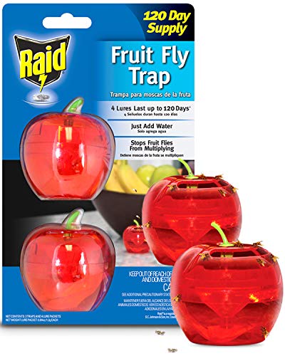 Raid Fruit Fly Trap Bundle, 2-Pack Apple (Set of 2), Fruit Fly Traps ...