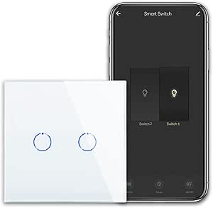 CNBINGO WiFi Smart Light Switch Work with Alexa, Google Assistant ...