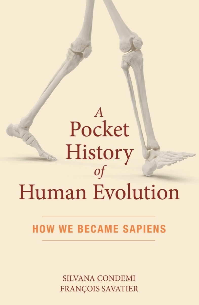 Pocket History of Human Evolution, A: How We Became Sapiens: Amazon.co ...