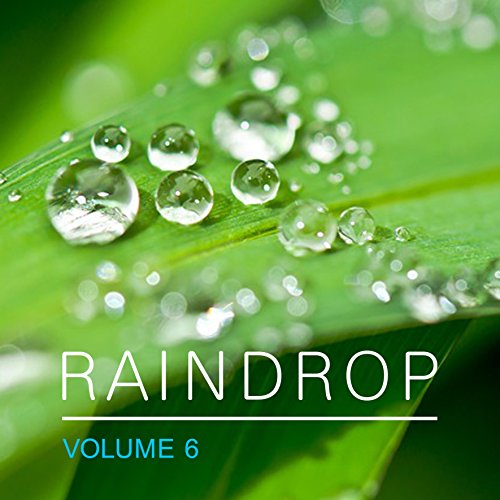 Amazon.com: Raindrop, Vol. 6 : VARIOUS ARTISTS: Digital Music