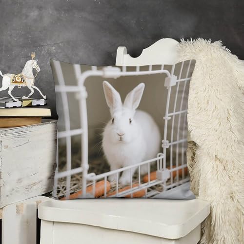 Flooring ideas for cube cages | Rabbits Online Pet Rabbit & Bunny Forum